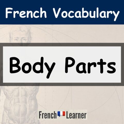 French Body Parts Vocabulary | FrenchLearner