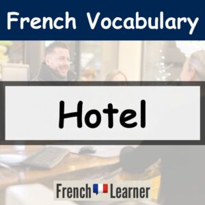French Airport Vocabulary & Phrases | FrenchLearner