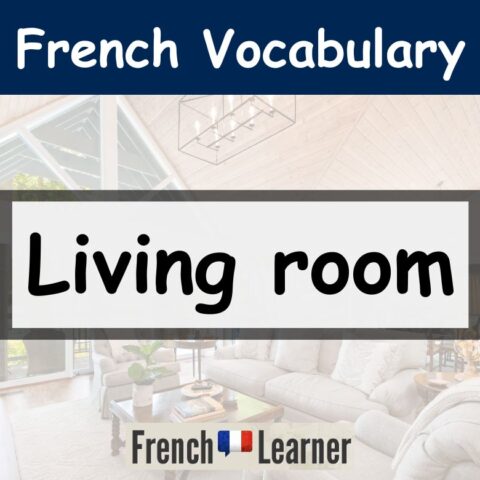 French Living Room Vocabulary | FrenchLearner