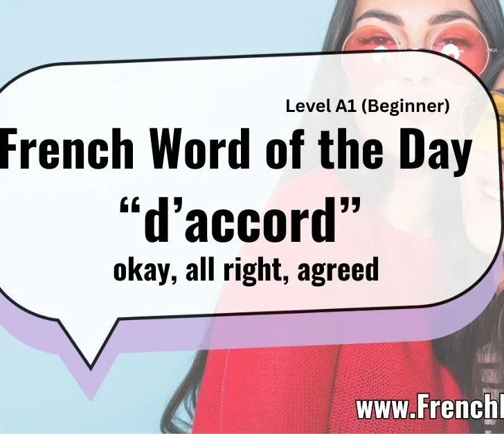 D'accord: French Word for Okay, Agreed & More Explained