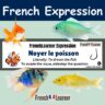 Noyer le poisson (To evade the issue) - French Expression