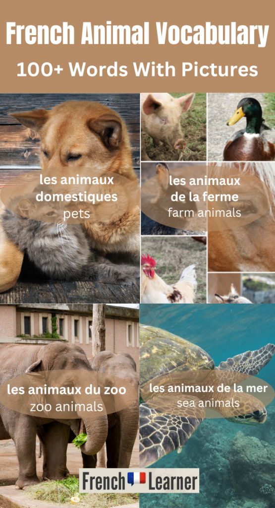 Big French Animal Names List Big French Animal Names List