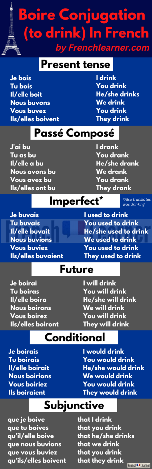 Conjugate "Boire" in French: All Forms & Meanings Explained