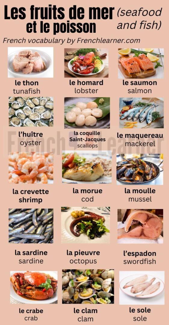 🍽️ French Food Vocabulary: 100+ Words to Know