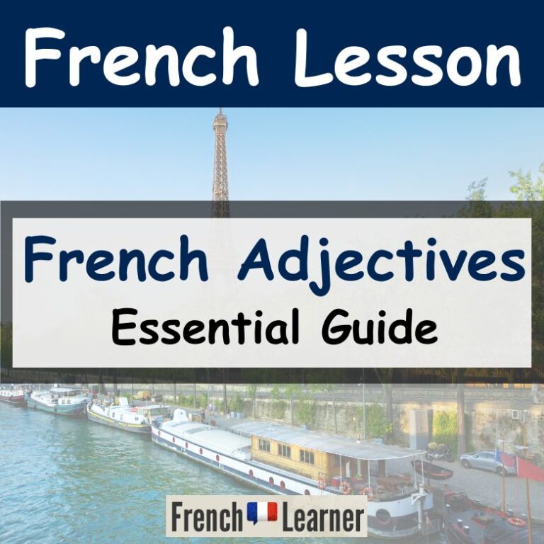 French Adjectives | FrenchLearner Grammar Lessons