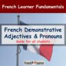 French Demonstrative Adjectives & Pronouns | FrenchLearner