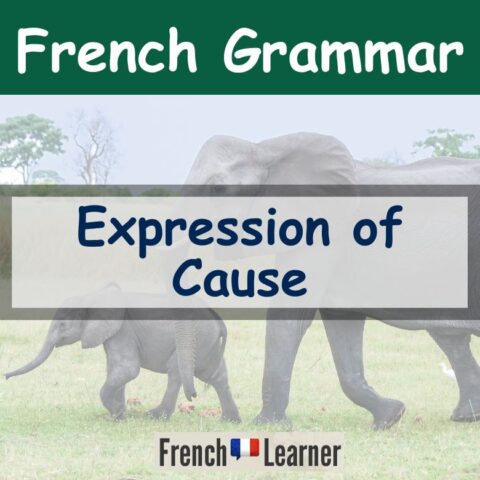 French Expression of Cause | FrenchLearner Grammar Lessons