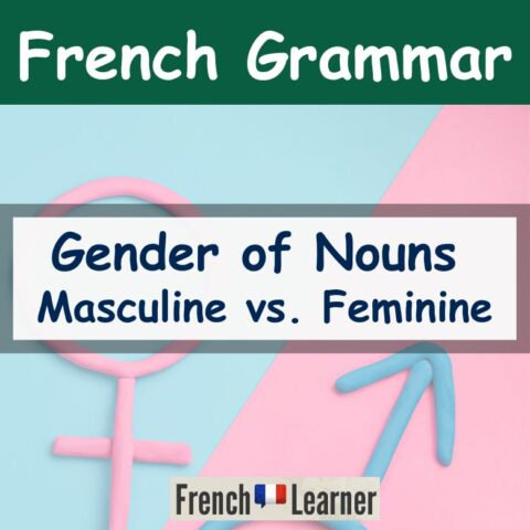 French Gender of Nouns | FrenchLearner Grammar Lessons