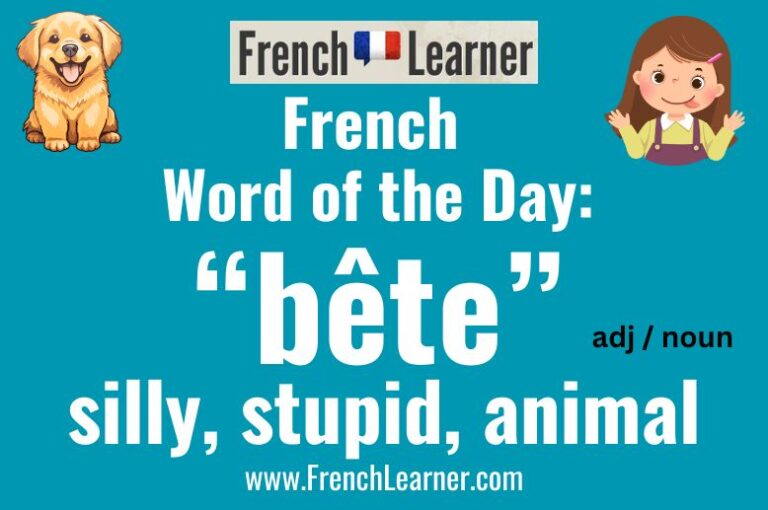 Bête - Silly, Stupid | FrenchLearner Word of the Day Lessons