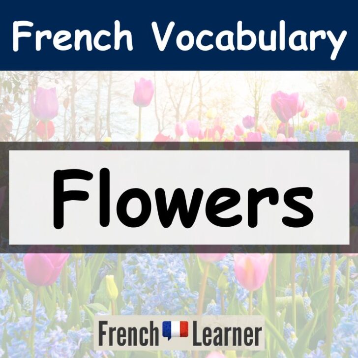 French Flower Names | FrenchLearner Vocabulary