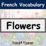 French Flower Names | FrenchLearner Vocabulary