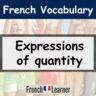 French Expressions of Quantity | FrenchLearner Vocabulary