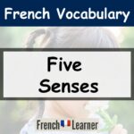 French Five Senses Vocabulary | FrenchLearner