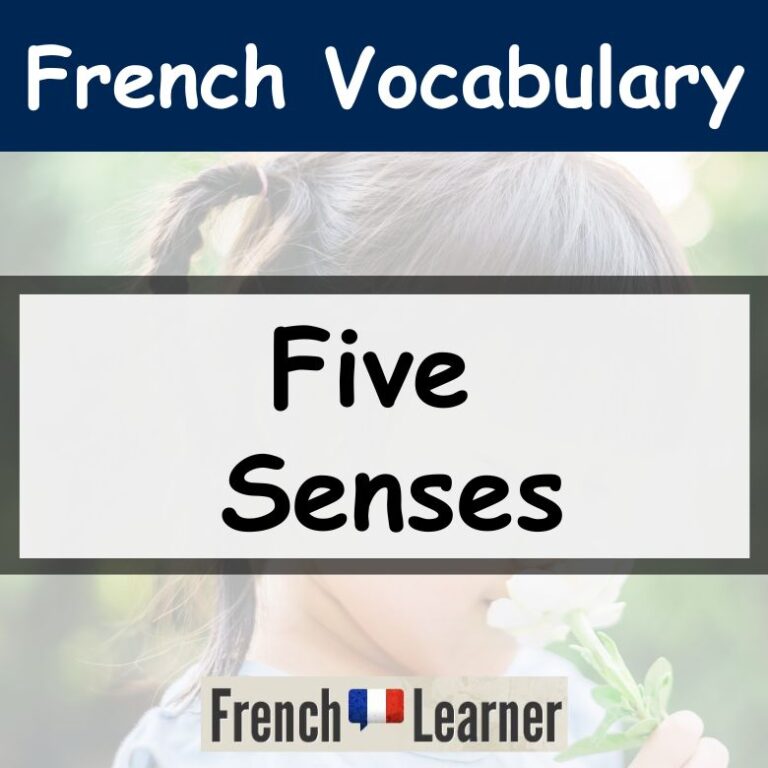 French Five Senses Vocabulary | FrenchLearner