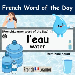 Si vs oui - French Word of the Day