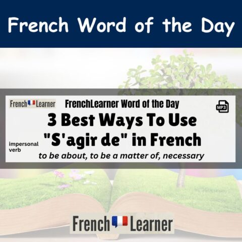 3 Best Ways To Use "S'agir de" in French | FrenchLearner