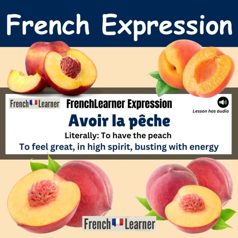 Learn The Real Meaning Of "La location" In French