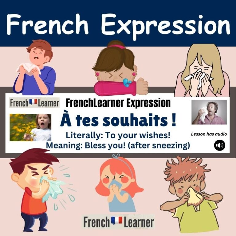 How To Use The Word "L'occasion" In French | FrenchLearner