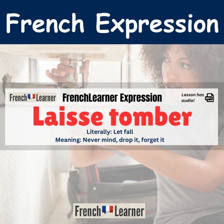 Laisse tomber (Never mind) - French Expression