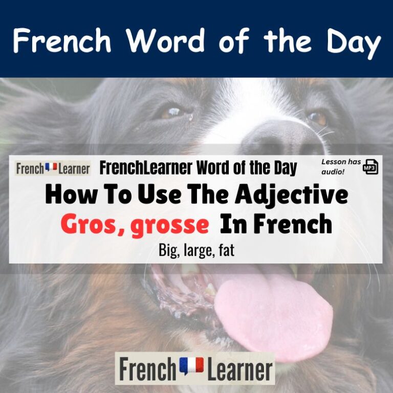 Gros, grosse (Big, fat) - French Word of the Day