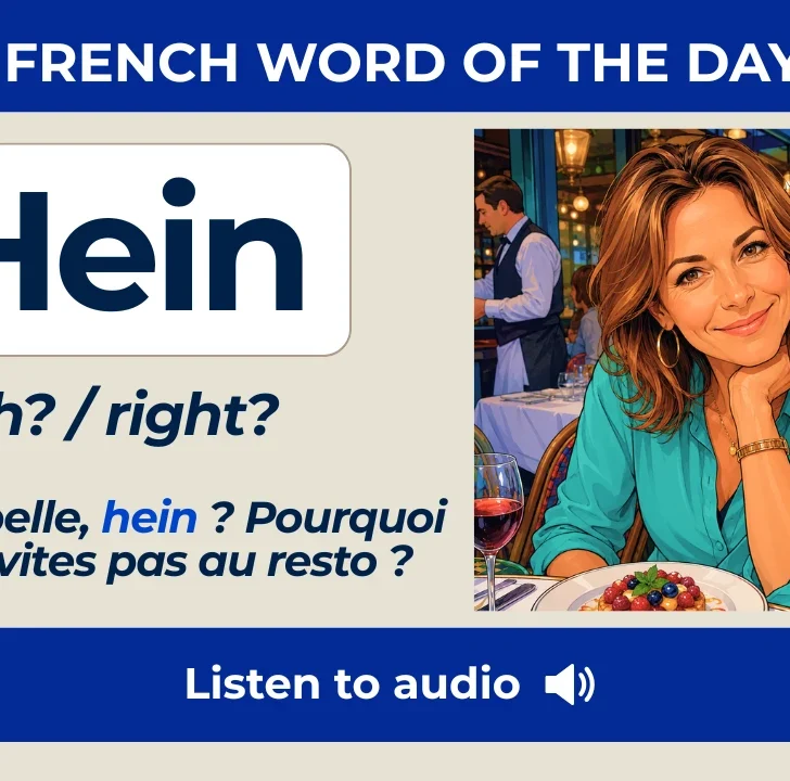 Hein — Meaning, pronunciation, examples with native audio