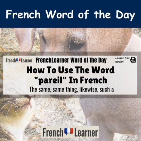 Pareil, pareille (the same) - French Word of the Day