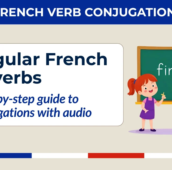 Regular IR Verbs in French