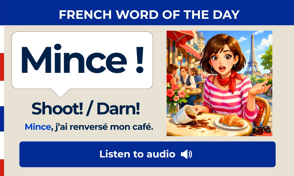 Mince — Meaning, Pronunciation, and Examples in French